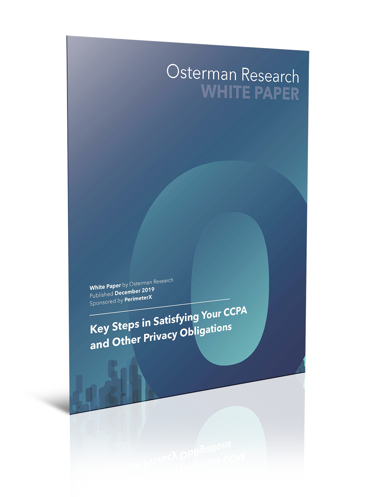key-steps-in-satisfying-your-ccpa-and-other-privacy-obligations